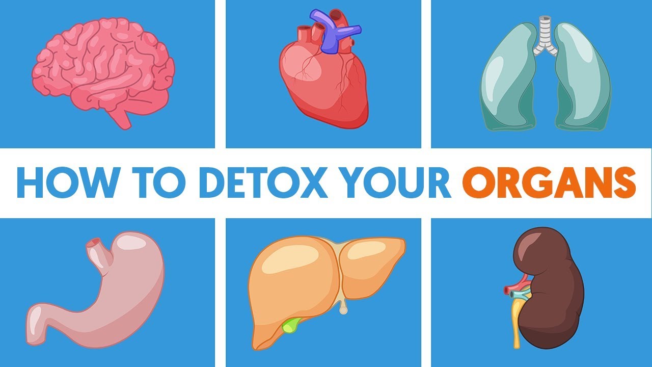 How to Detox Your Organs So You Never Feel Sick or Tired - Cleansing ...
